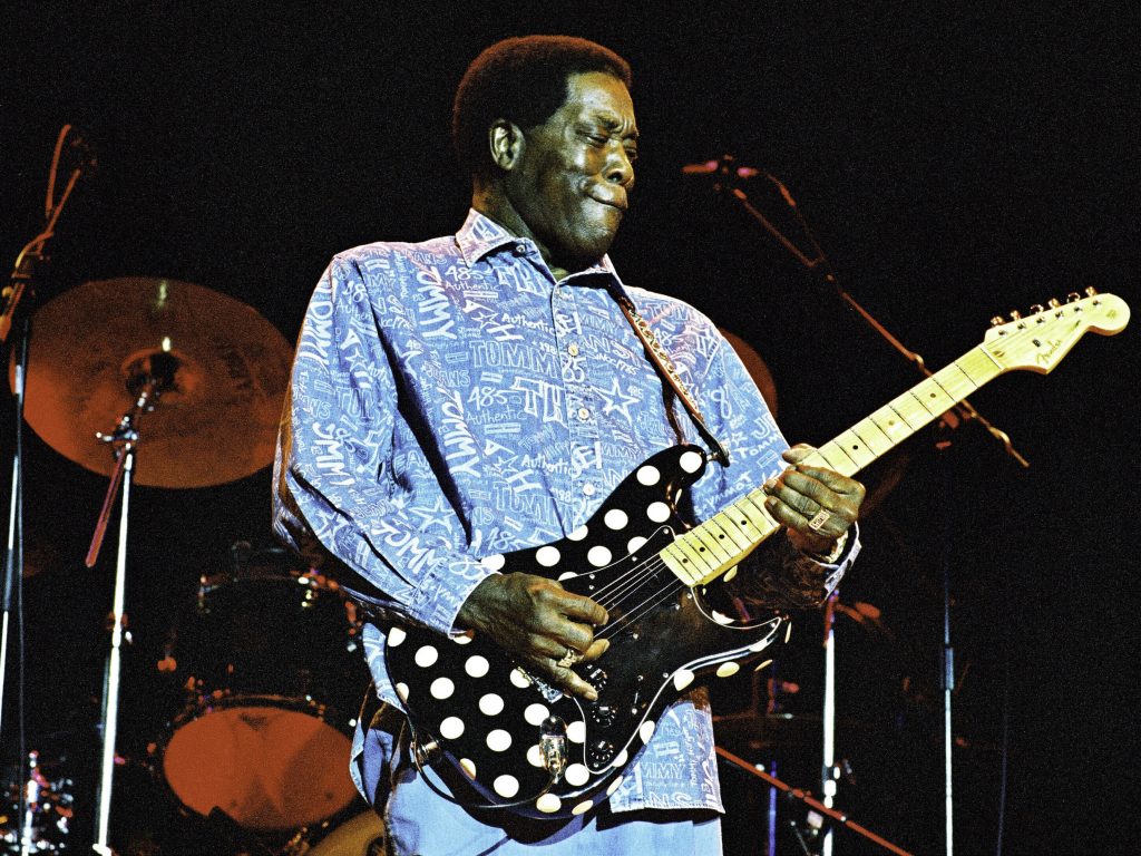 Buddy Guy - Pick Art